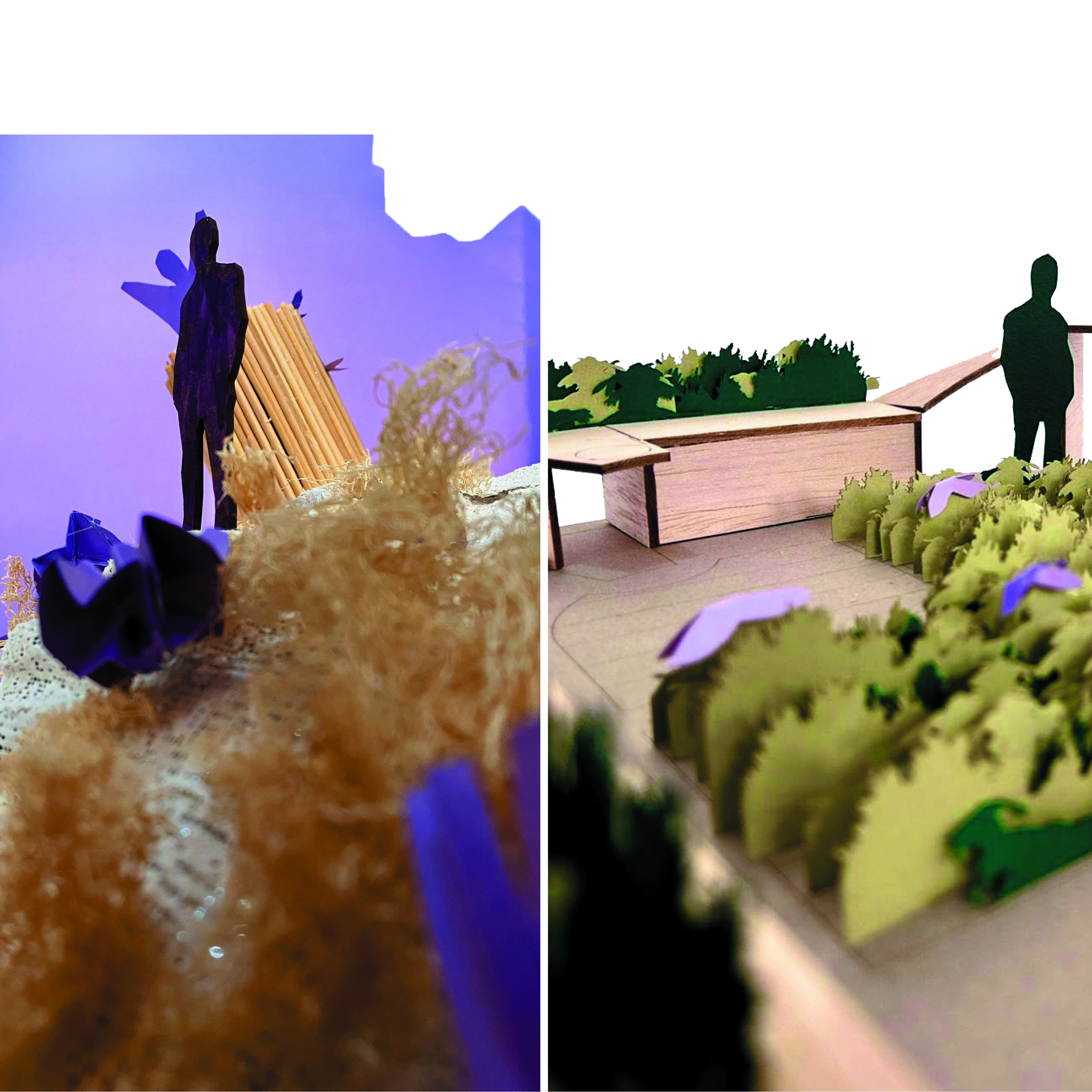 BIO-Fun Devices | Biennal