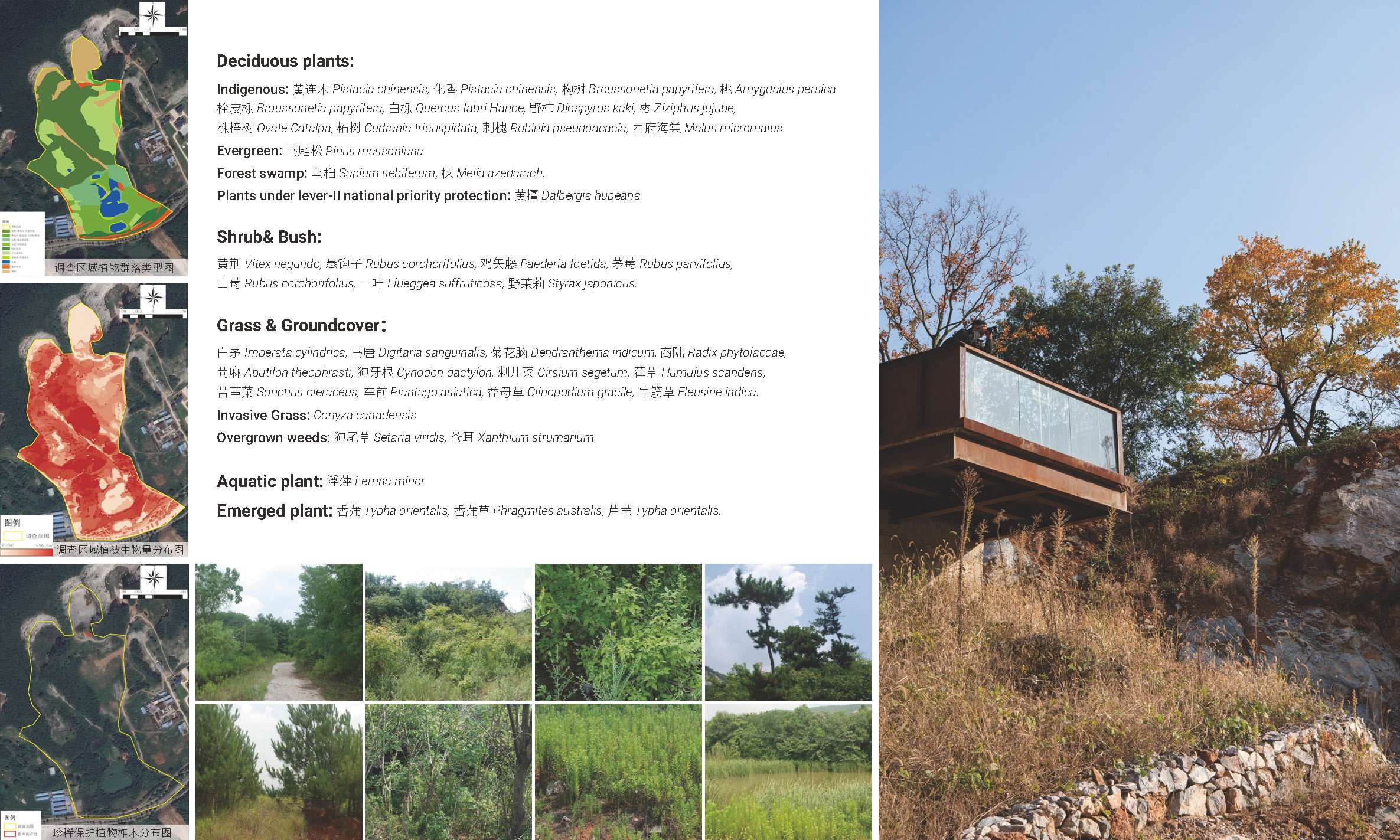 Parque De La Cantera De Tangshan - Landscape